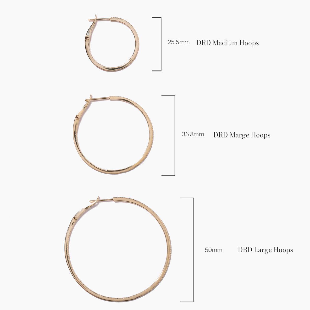 DRD Medium Solid Gold Hoops | Dana Rebecca Designs